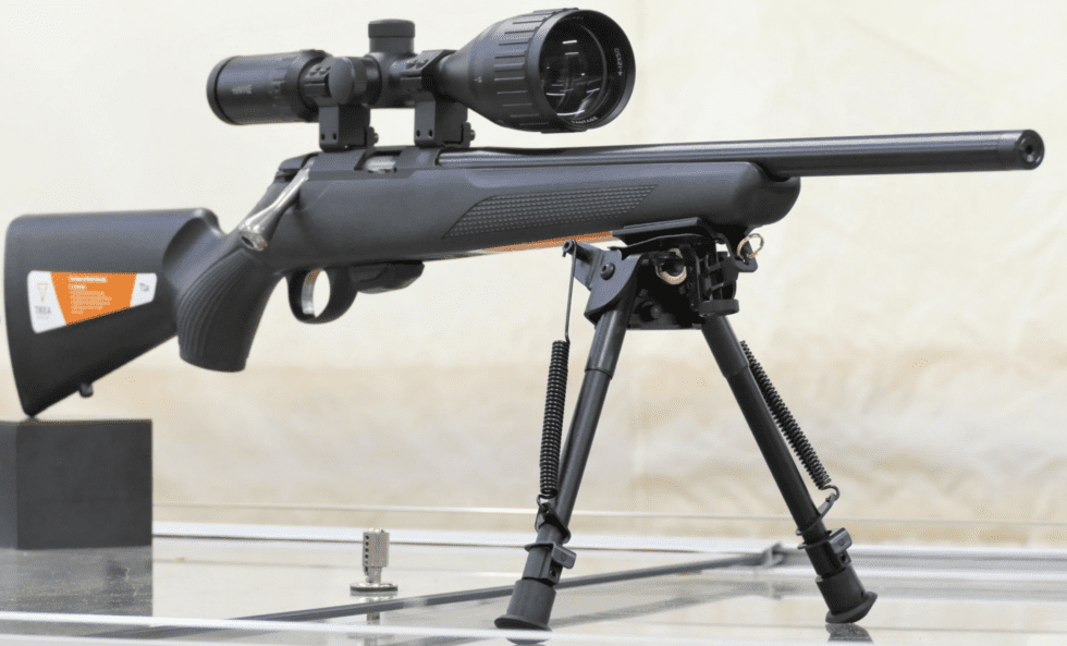 Meilleure carabine 17 HMR 2025 : top 6 des modèles comparés